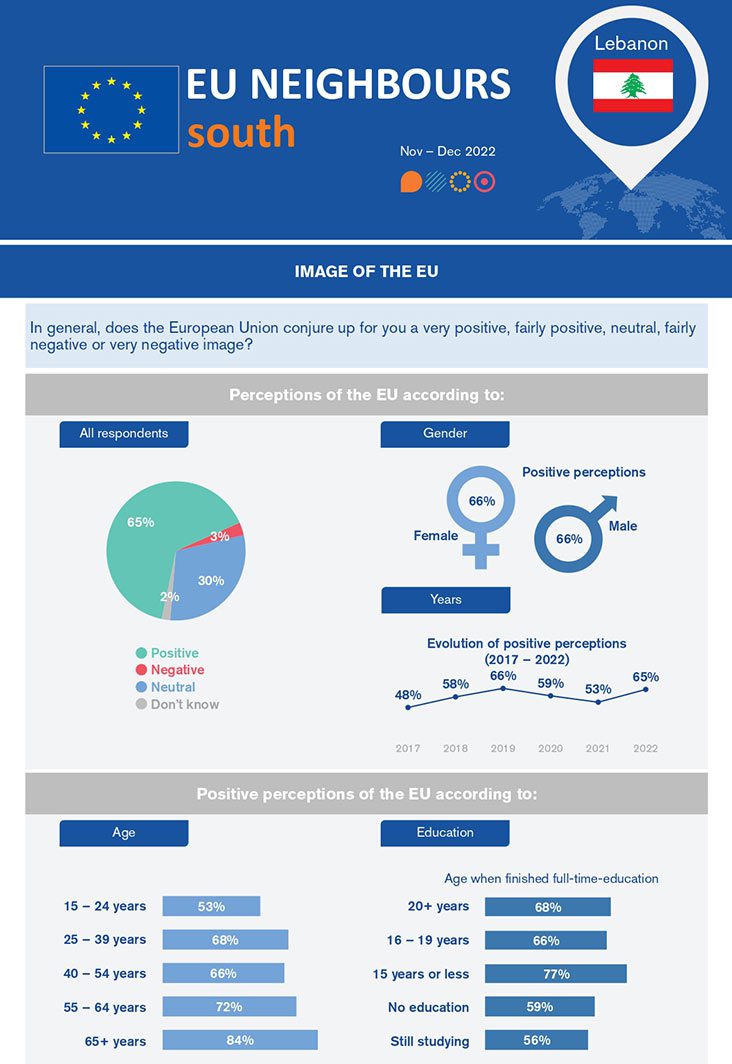 Opinion Poll 2022 – Lebanon (factsheet) - EU Medbridge