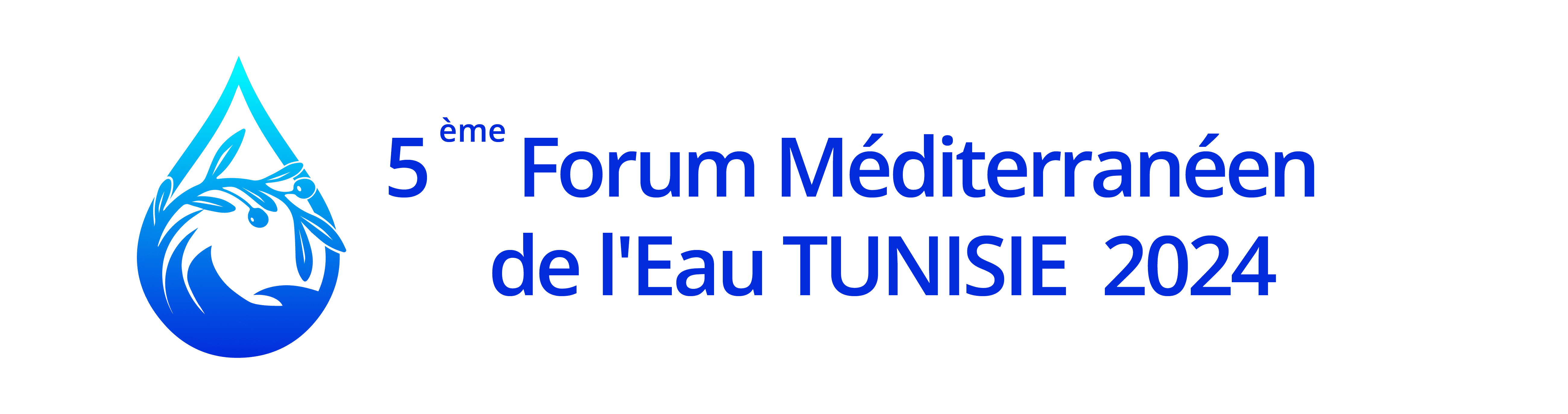 5th Mediterranean Water Forum - EU Medbridge